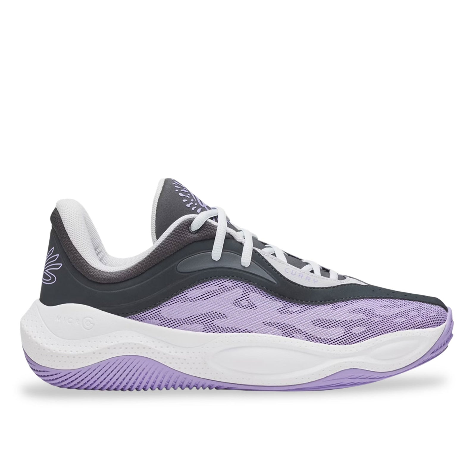 Curry Splash 25 Purple