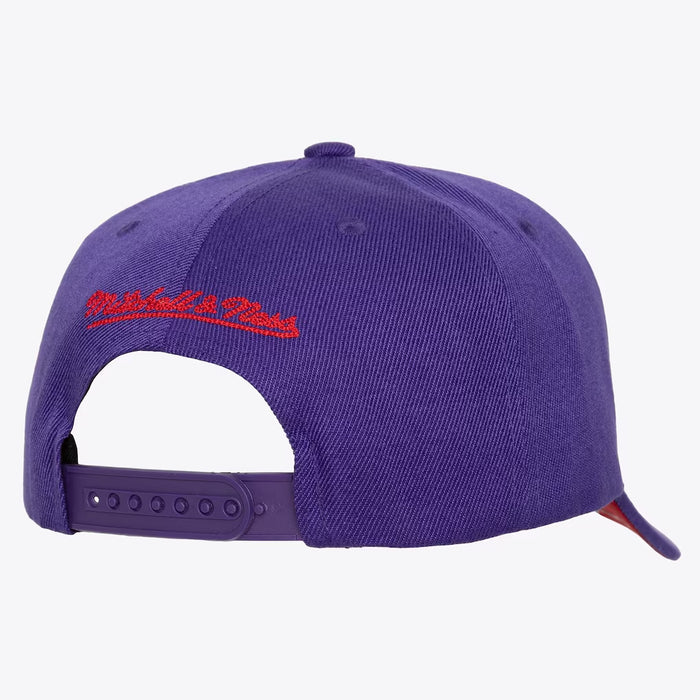 NBA Chain Gang Pro Snapback Toronto Raptors