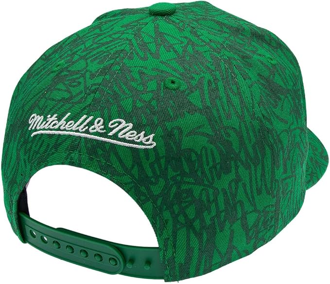 HIP HOP History Current Pro Crown Boston Celtics
